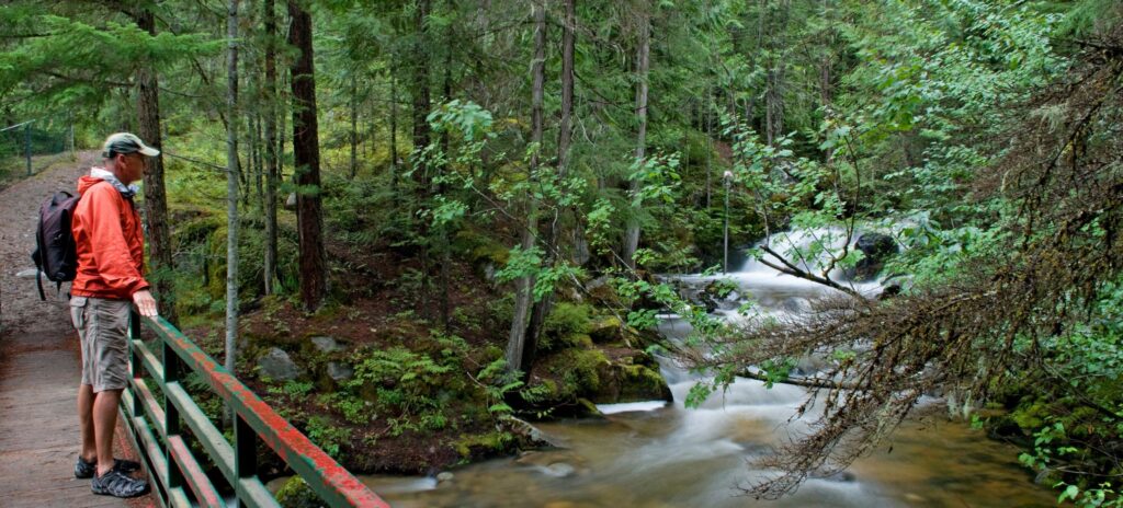 Winlaw | The Arrow Lakes and Silvery Slocan | Kootenay Rockies | Travel ...