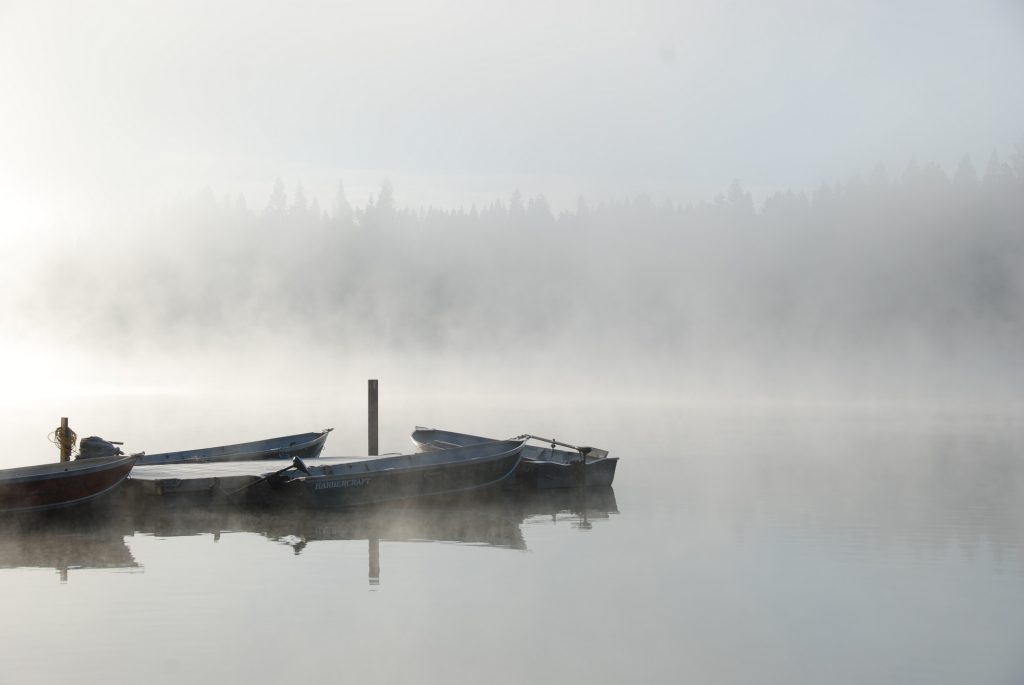 Best Campsites near Hathaway Lake | Travel British Columbia