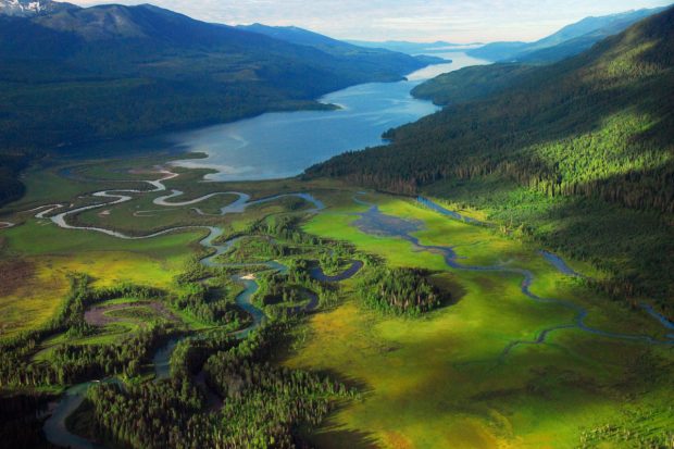 Best Campsites near Quesnel Lake | Travel British Columbia