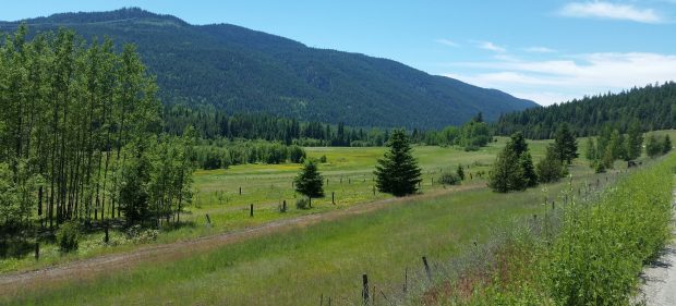 Gray Creek | Kootenay Lake | Kootenay Rockies | Travel British Columbia
