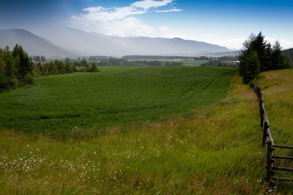 Tappen | Shuswap Thompson Okanagan | Travel British Columbia