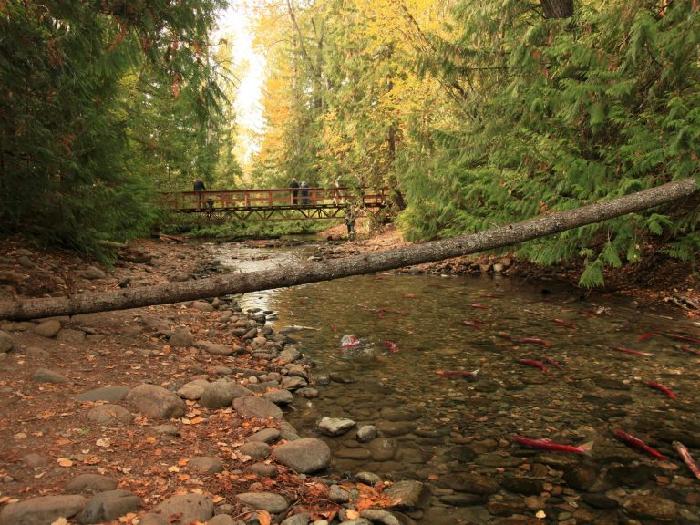 Shuswap | Thompson Okanagan | Travel British Columbia