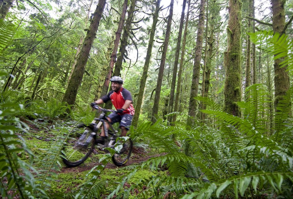 Maple Ridge and Pitt Meadows | Vancouver and Area | Vancouver, Coast ...