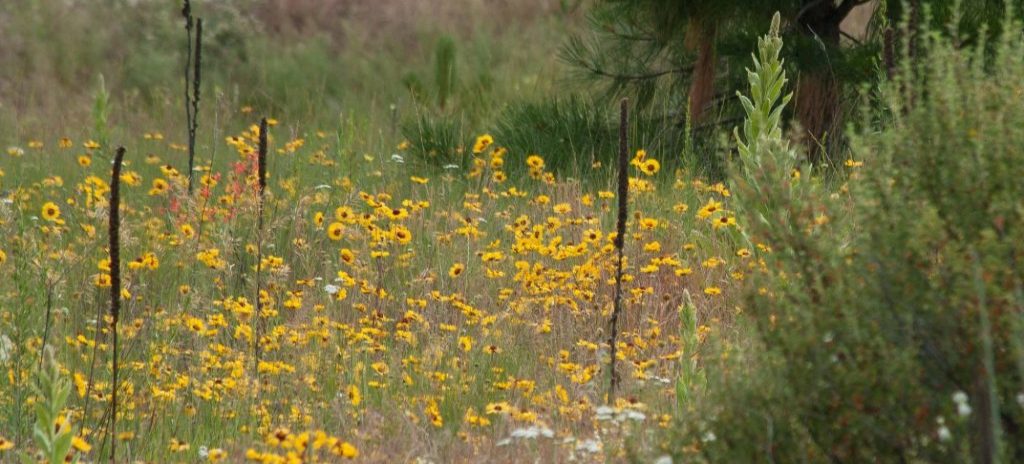 Cherryville | Thompson Okanagan | Travel British Columbia