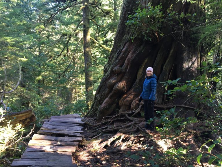 Hiking Meares Island, Tofino, British Columbia | Travel British Columbia