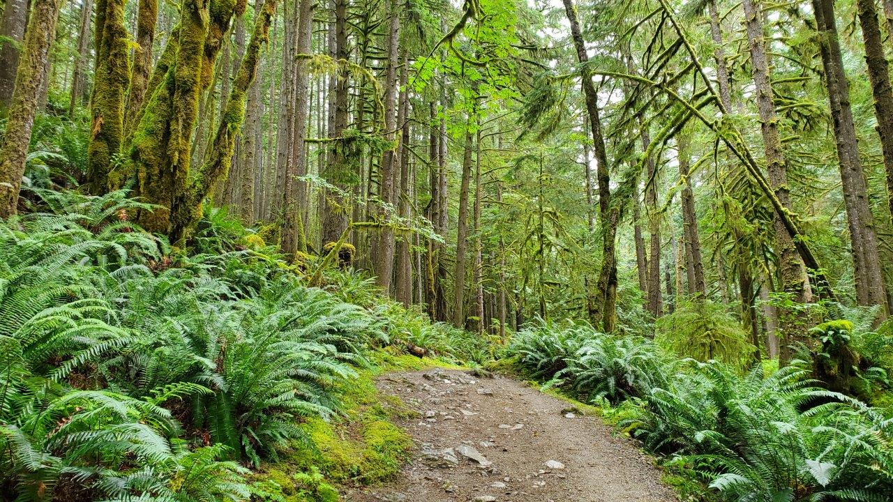Check Out Skookumchuck Narrows on British Columbia's Sunshine Coast ...